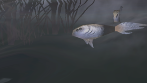 Covenant koi - Halopedia, the Halo wiki