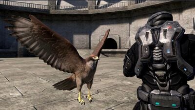 Cut Halo: Reach ambient life - Halopedia, the Halo wiki