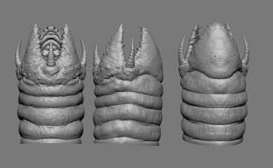 Glassworm - Species - Halopedia, the Halo wiki