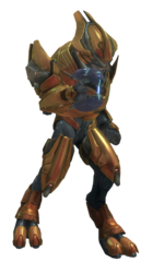 Sangheili Major - Halopedia, the Halo wiki