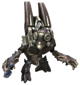 Unggoy - Species - Halopedia, the Halo wiki