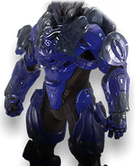 FOTUS - Armor - Halopedia, the Halo wiki