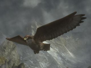 List of animals - Halopedia, the Halo wiki