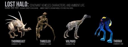 List of deleted ambient life in Halo development - Halopedia, the Halo wiki