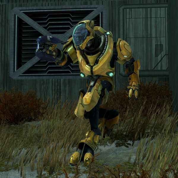 Sangheili Ranger Commander Halopedia The Halo Wiki
