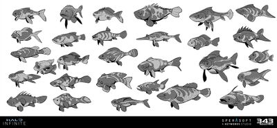 Fish - Halopedia, the Halo wiki