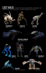 Cut Halo: Combat Evolved vehicles - Halopedia, the Halo wiki