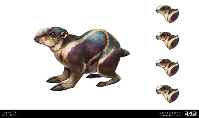 Rodent - Halopedia, the Halo wiki