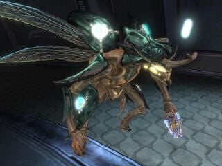 Yanme'e Ultra - Halopedia, the Halo wiki