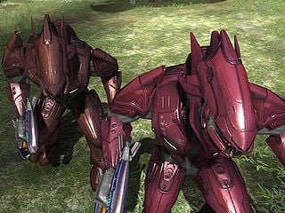 Sangheili Major - Halopedia, the Halo wiki