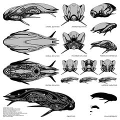 Kmiro'sish-pattern World Patroller - Ship class - Halopedia, the Halo wiki