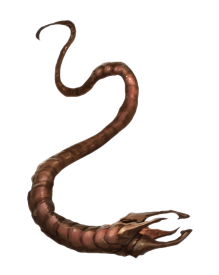 Dipholekgolo - Species - Halopedia, the Halo wiki