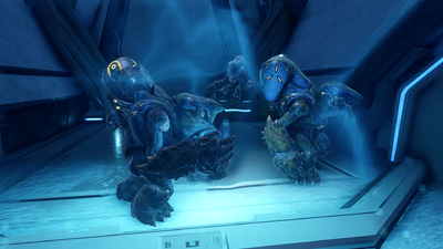 Unggoy - Species - Halopedia, the Halo wiki