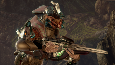 Commander (Covenant) - Halopedia, the Halo wiki