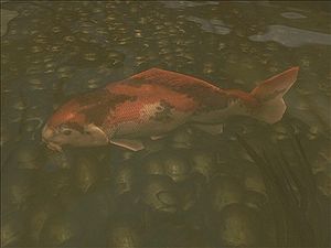 Reflection - Multiplayer map - Halo: Reach - Halopedia, the Halo wiki