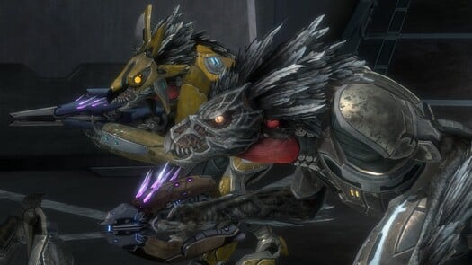 Needle-based weaponry - Halopedia, the Halo wiki
