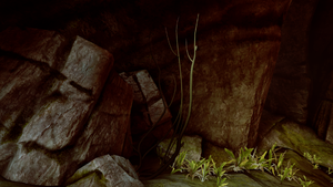 Warbled fan - Halopedia, the Halo wiki