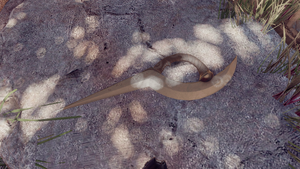 Curveblade - Halopedia, the Halo wiki