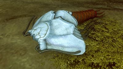 List of animals - Halopedia, the Halo wiki