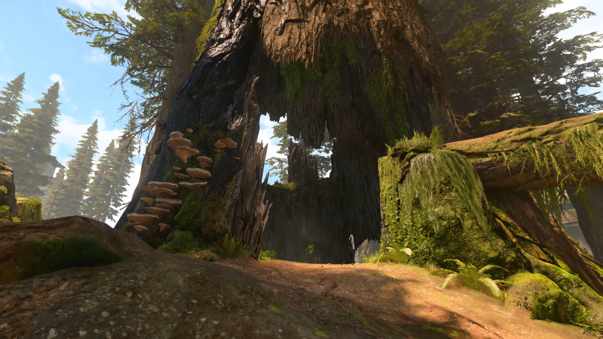 File:HINF ForestHollowTree.png - Halopedia, the Halo wiki