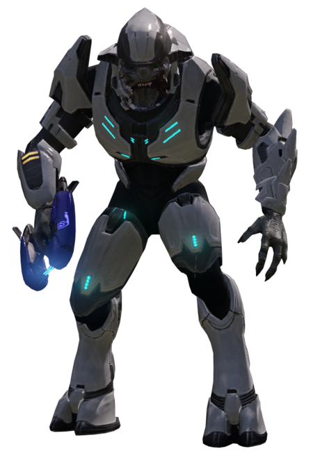 Commander (Covenant) - Halopedia, the Halo wiki
