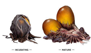 Infection form - Halopedia, the Halo wiki