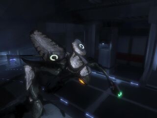 Yanme'e Ultra - Halopedia, the Halo wiki