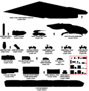 Category:Halo.bungie.org images - Halopedia, the Halo wiki