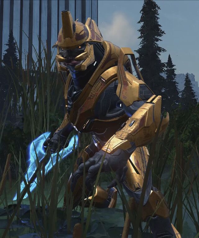 Ordo 'Mal - Character - Halopedia, the Halo wiki