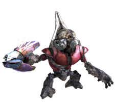 Avatars - Halopedia, the Halo wiki