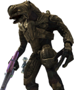 Arbiter body armor - Halopedia, the Halo wiki