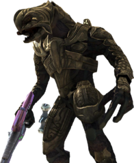 Arbiter body armor - Halopedia, the Halo wiki