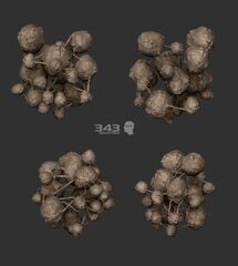 Flood spore - Species - Halopedia, the Halo wiki