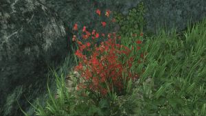 Forge World - Forge canvas - Halo: Reach - Halopedia, the Halo wiki