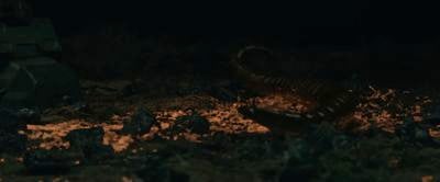 Lekgolo - Species - Halopedia, the Halo wiki