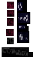 Forerunner symbols - Halopedia, the Halo wiki