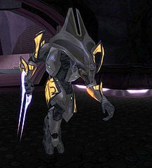Covenant Honor Guard - Halopedia, the Halo wiki