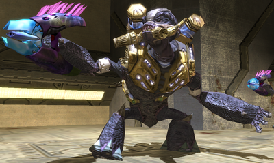 Heretic Unggoy - Halopedia, the Halo wiki