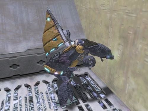 Cowardly Grunt - Halopedia, the Halo wiki Cowardly Grunt - Halopedia, the Halo wiki
