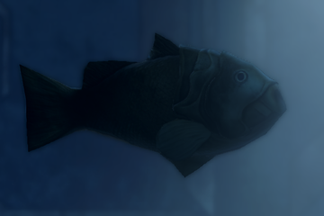 Fish - Halopedia, the Halo wiki