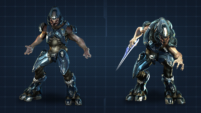 Sangheili Storm - Halopedia, the Halo wiki