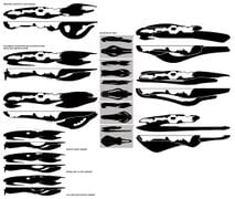 Ceudar-pattern heavy corvette - Ship class - Halopedia, the Halo wiki