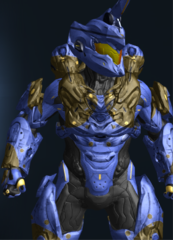 FOTUS - Armor - Halopedia, the Halo wiki