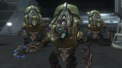 Heavy (Covenant) - Halopedia, the Halo wiki