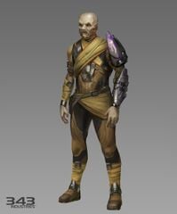 Yonhet - Species - Halopedia, the Halo wiki