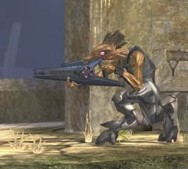 Category:Images of Kig-Yar Snipers - Halopedia, the Halo wiki