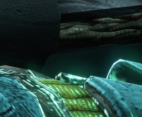 Sbaolekgolo - Species - Halopedia, the Halo wiki