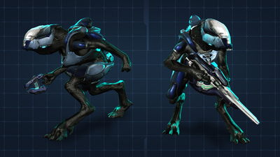 Kig-Yar Ranger - Halopedia, the Halo wiki
