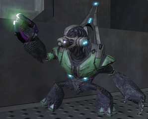 Category:Images of Unggoy Heavy - Halopedia, the Halo wiki